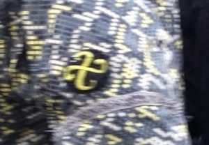 Swastikas are Back for Far-Right’s Independence Day March in Central ...